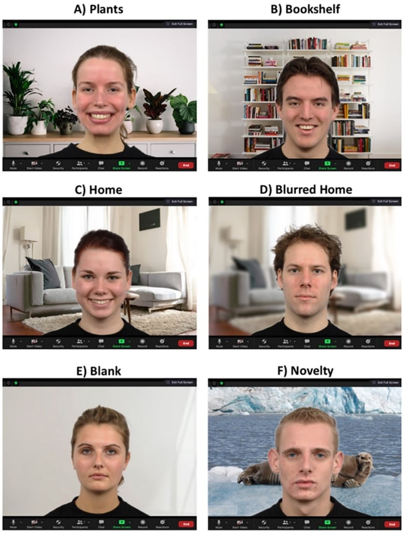 The background of a Zoom call is the new business suit | Technology ...