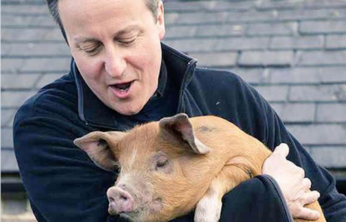Biografia de David Cameron e #piggate levam Reino Unido à loucura ...