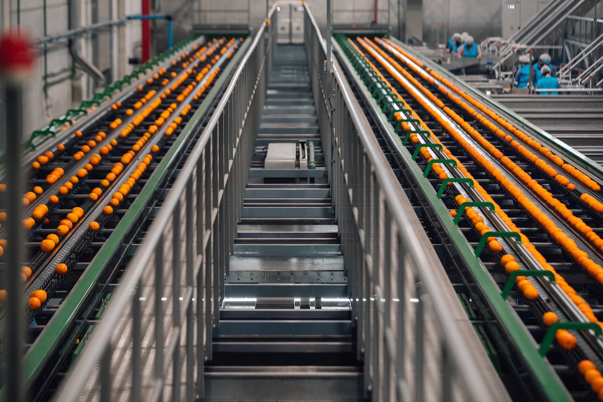 Bollo Natural Fruit: Un gigante de la fruta a base de adquisiciones ...