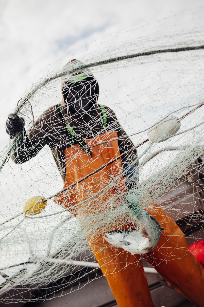 El salmón de Alaska, un tesoro bajo amenaza | EL PAÍS Semanal ...