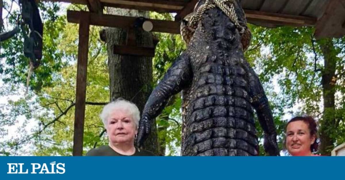 Judy Cochran: La alcaldesa que mató a un caimán de tres metros y medio ...
