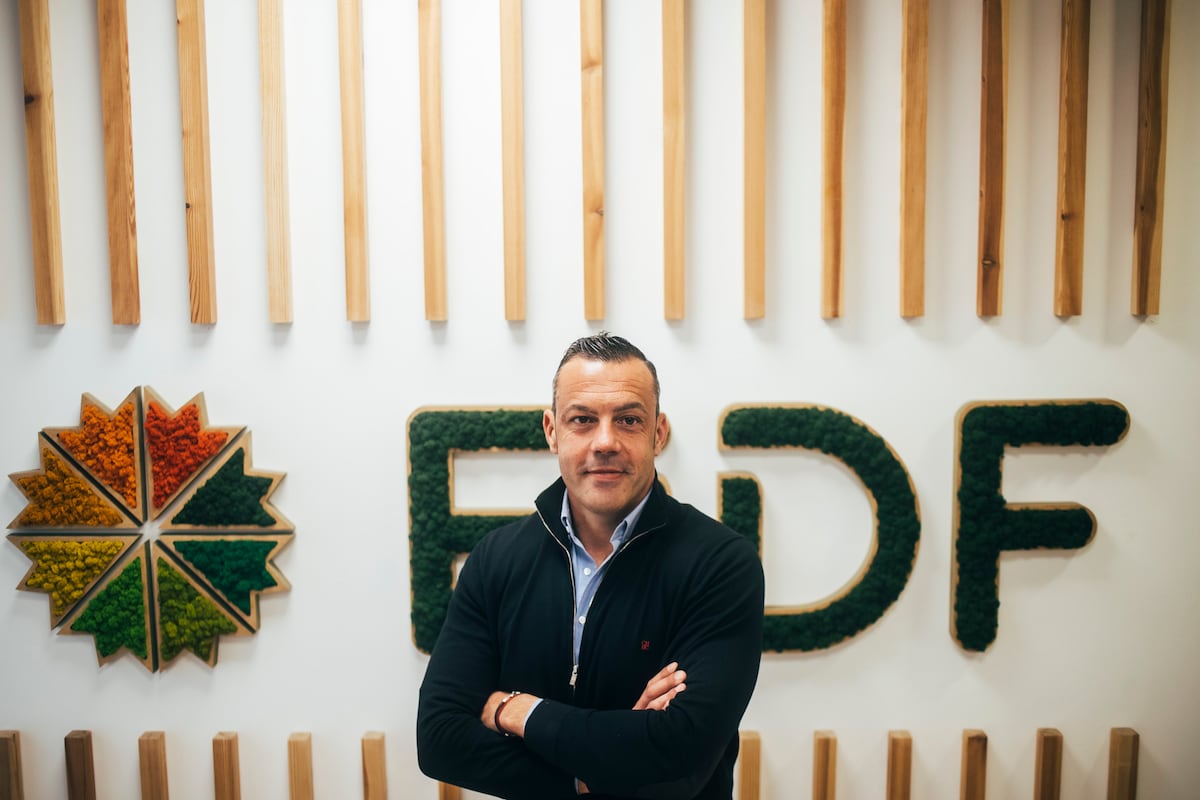 EiDF admite problemas con la auditoría y contrata a dos consultoras para analizar sus cuentas y ...