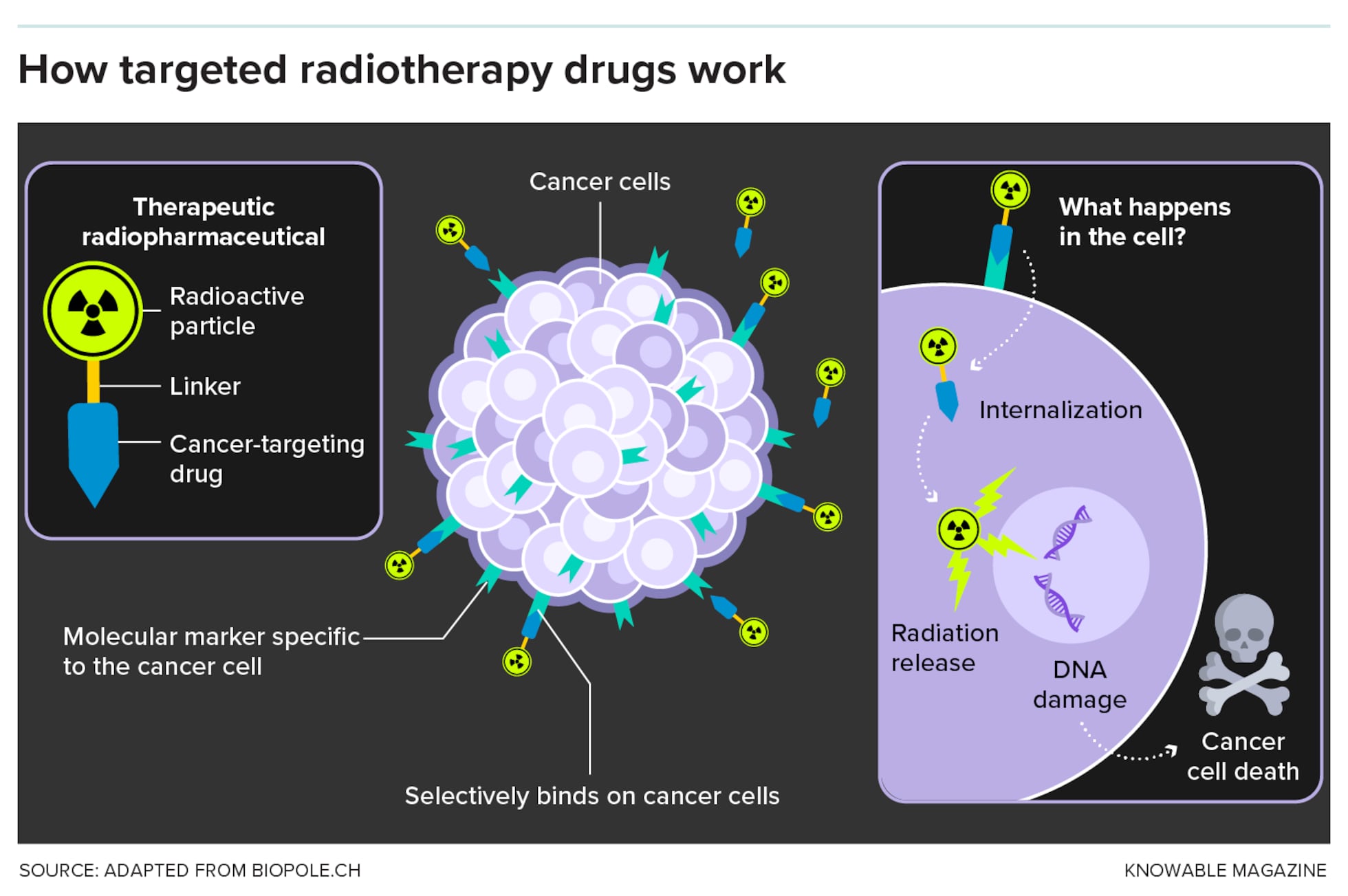 New generation of radioactive drugs strike cancer with molecular ...
