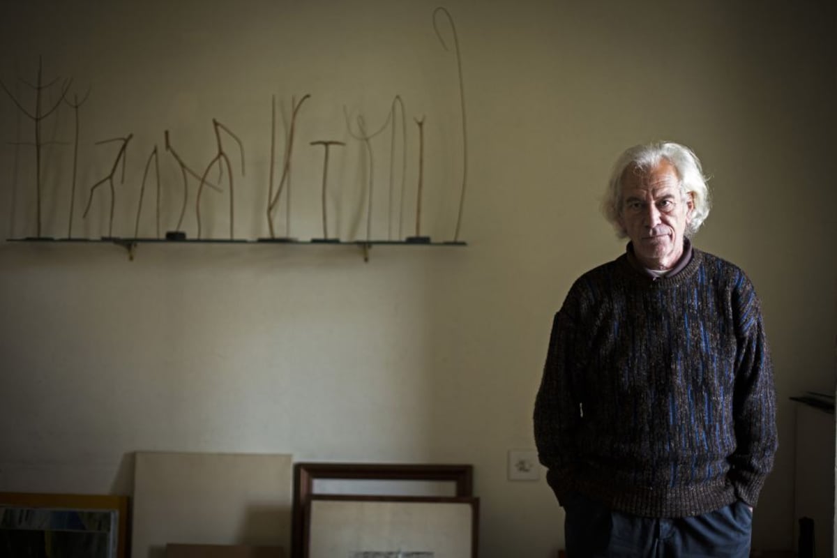 Les oliveres de Manel Armengol | Art i arquitectura | EL PAÍS