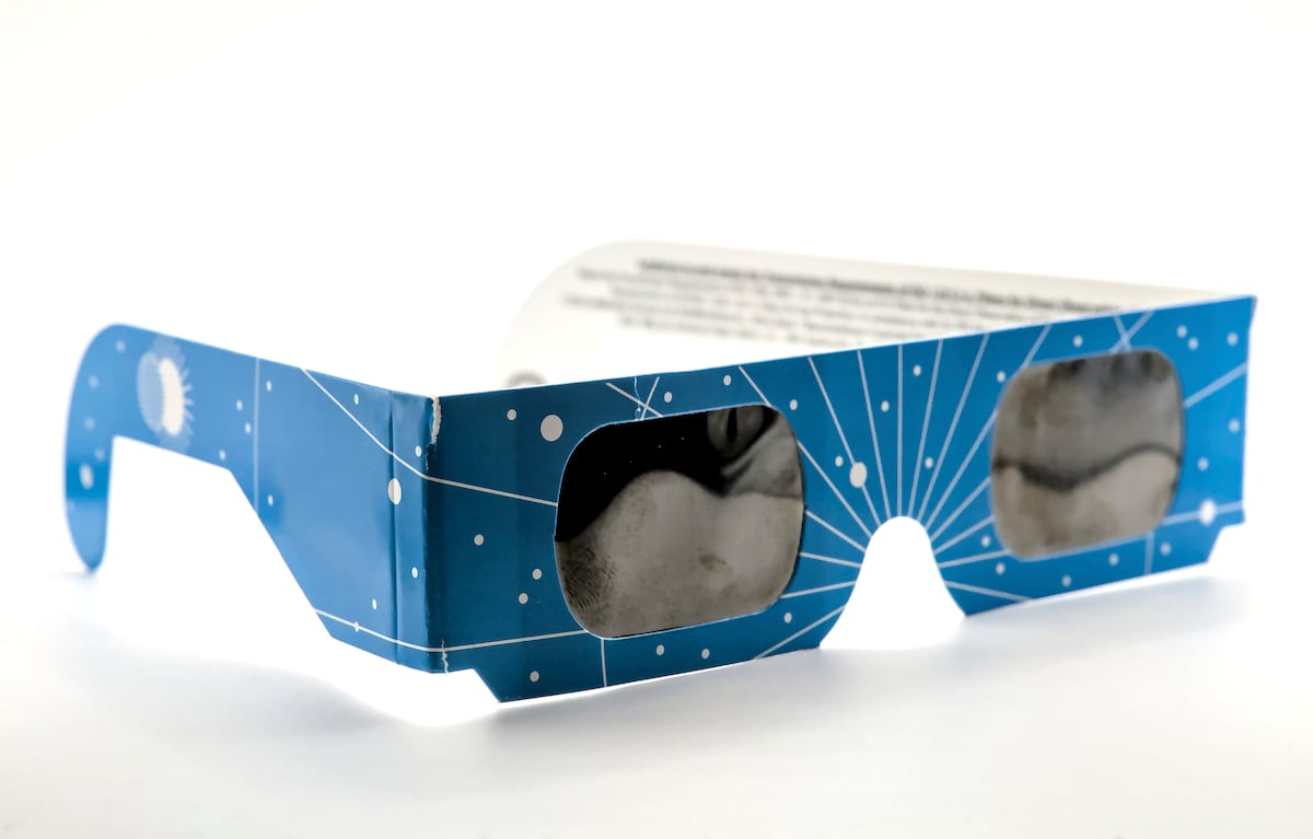 2026 ya está aquí y estas son sus fechas clave | EL PAÍS Semanal | EL PAÍS