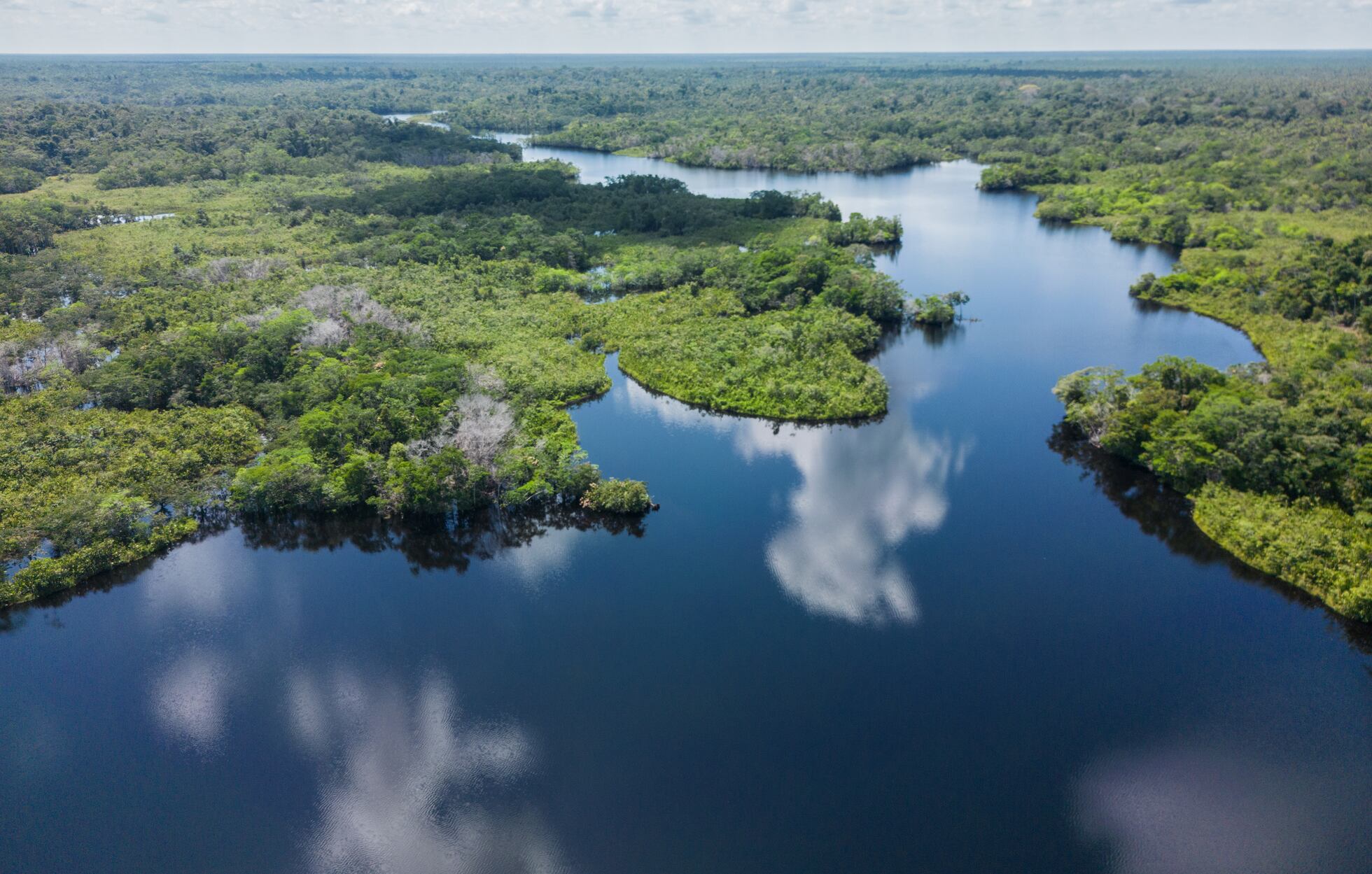 El secreto de los Candoshi para pescar y conservar la Amazonia ...