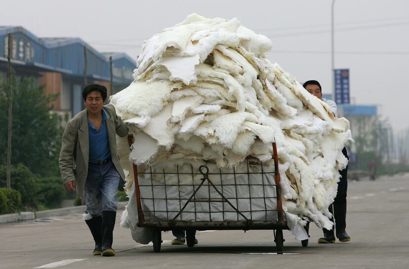 Dozens of ‘high-risk’ viruses discovered on fur farms in China ...