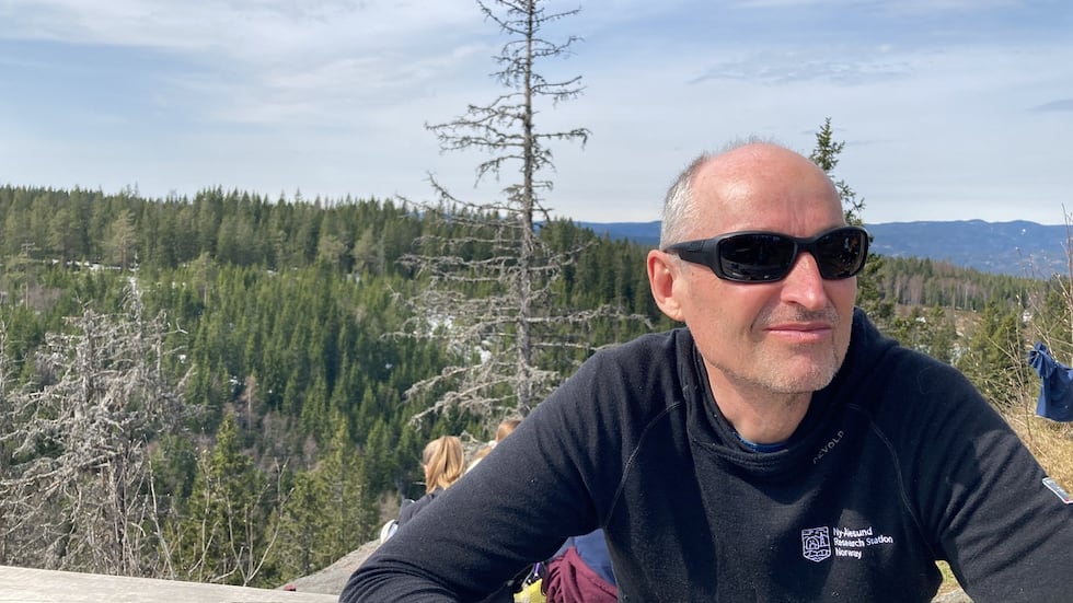 Blatten: The mountain that swallowed a village in Switzerland: ‘There ...