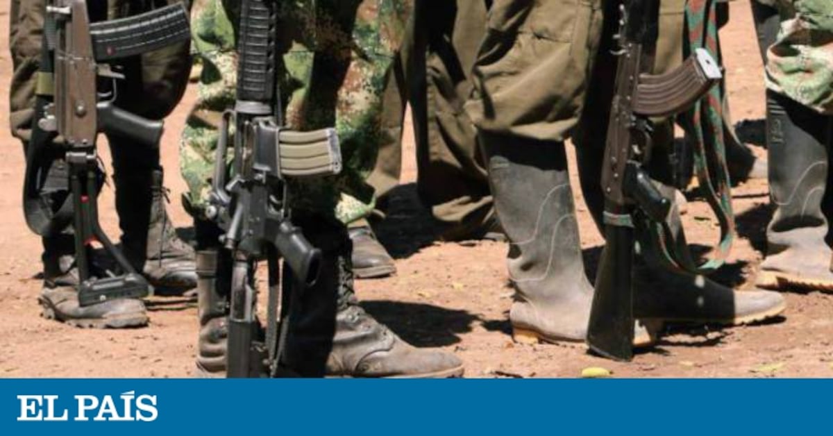 Los niños salen de las FARC | EL PAÍS América Colombia
