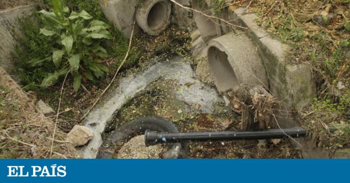 Los 800 peligros que acechan al Jarama | Noticias de Madrid | EL PAÍS