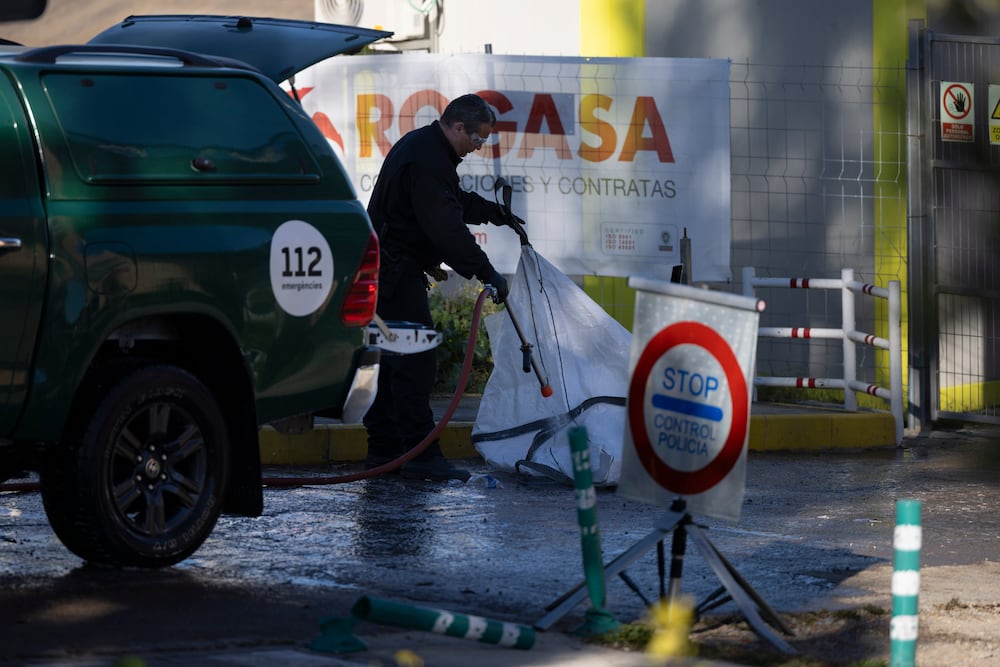 Catalonia lab was experimenting with African swine fever virus when the ...