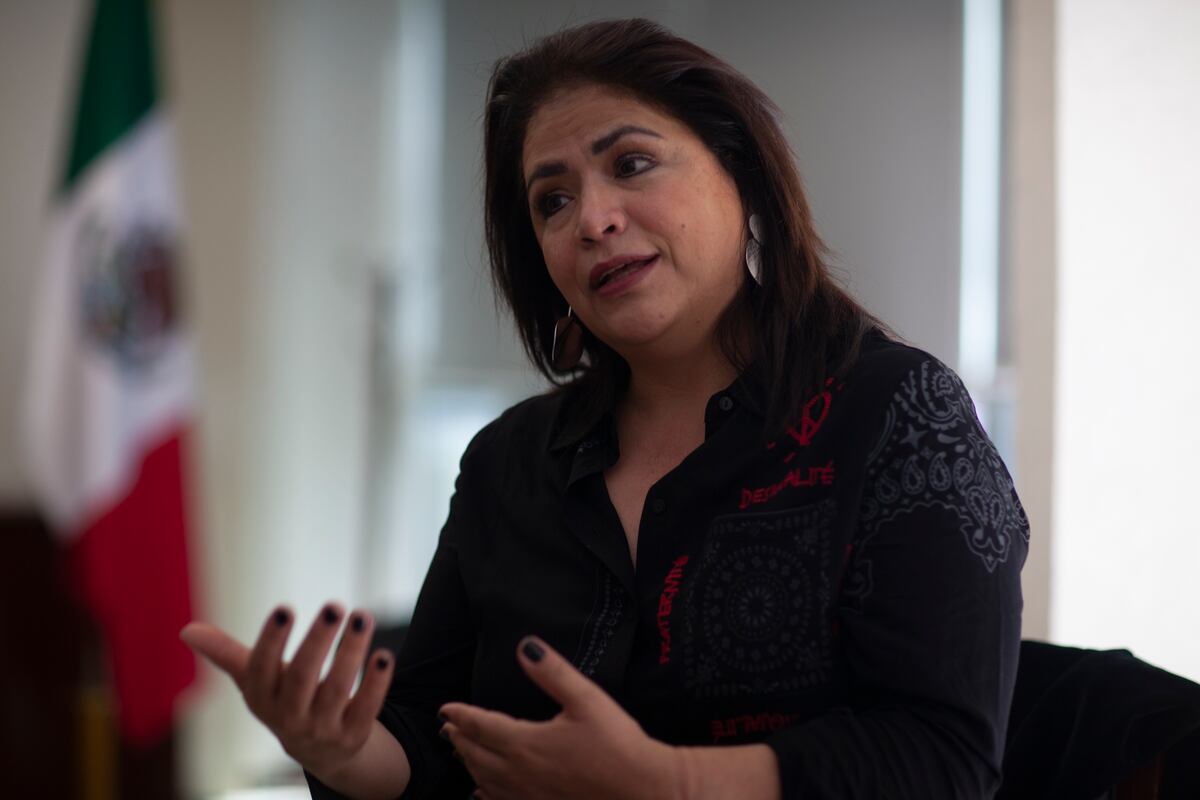 Fabiola Alanís: “Necesitamos dar un giro en la estrategia contra la violencia feminicida” | EL ...