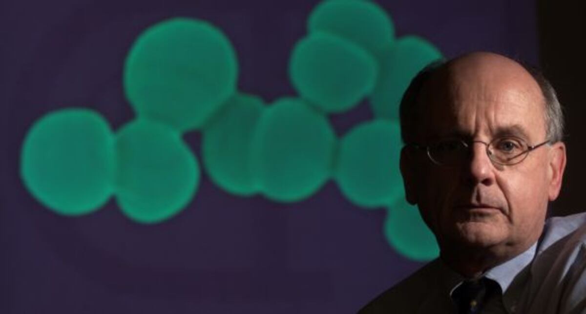 Donald Low, el portavoz de la epidemia de SARS | Sociedad | EL PAÍS