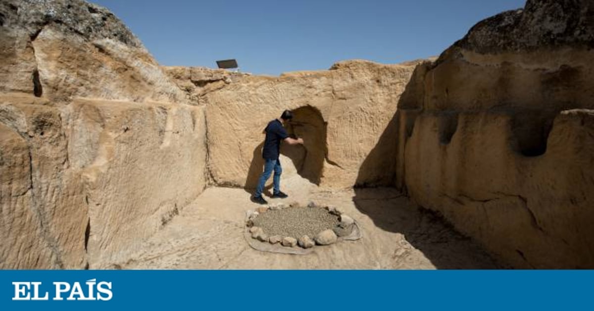 Ancient history: Spanish archaeologists discover largest Iberian-era ...