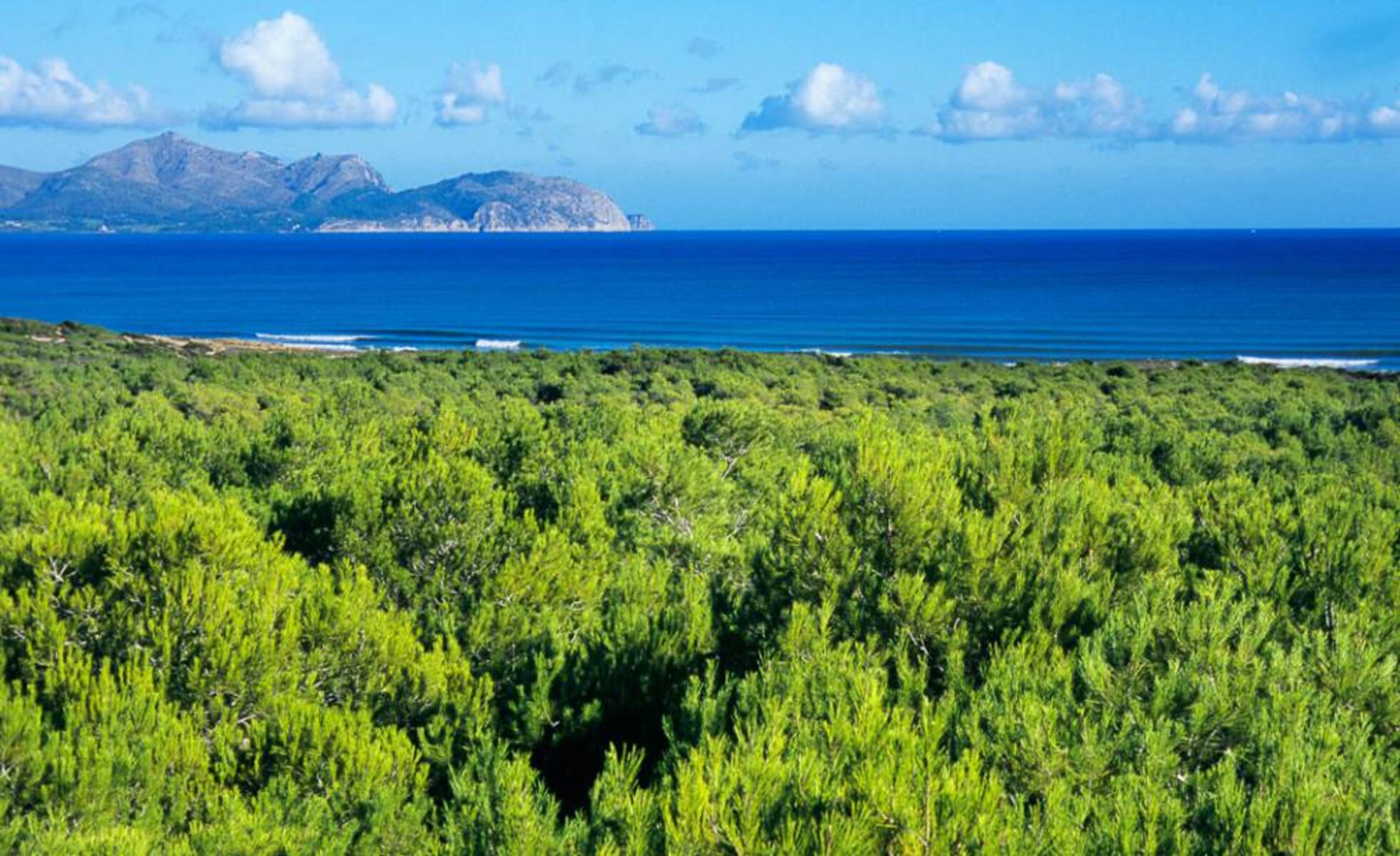 Islas Baleares, el archipiélago sostenible | El Viajero | EL PAÍS
