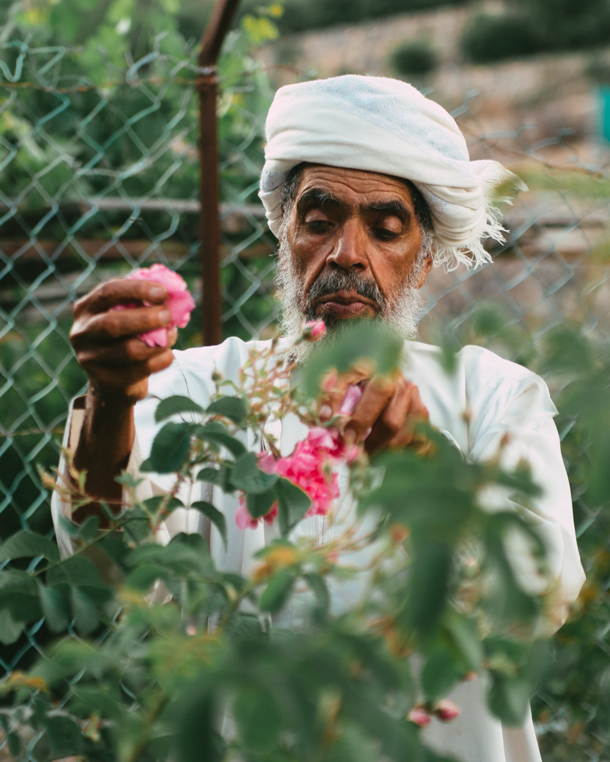 Attar: The return of the oldest, most luxurious perfume in the world ...