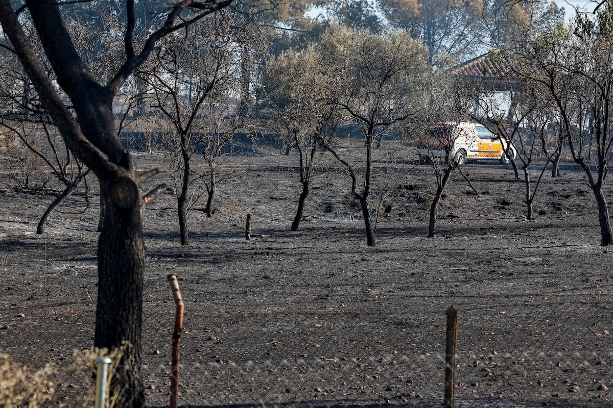 Cuatro personas investigadas por provocar el incendio de Loeches con ...