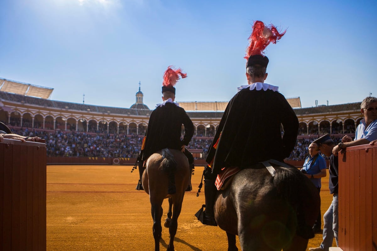 ¿Qué hay de nuevo este año en la fiesta de los toros? Lo que diga el ...
