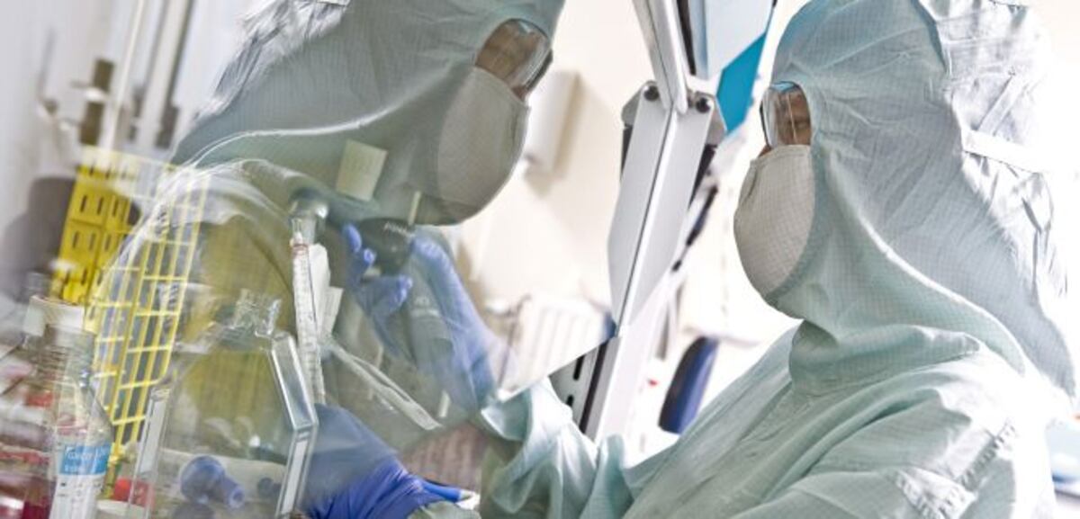 La española Tigenix aplaza su salida al Nasdaq | Empresas | Cinco Días