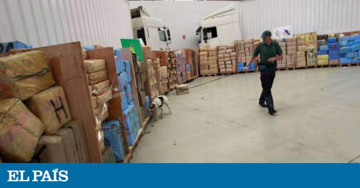 Crime in Spain: How drug gangs in southern Spain are increasingly ...