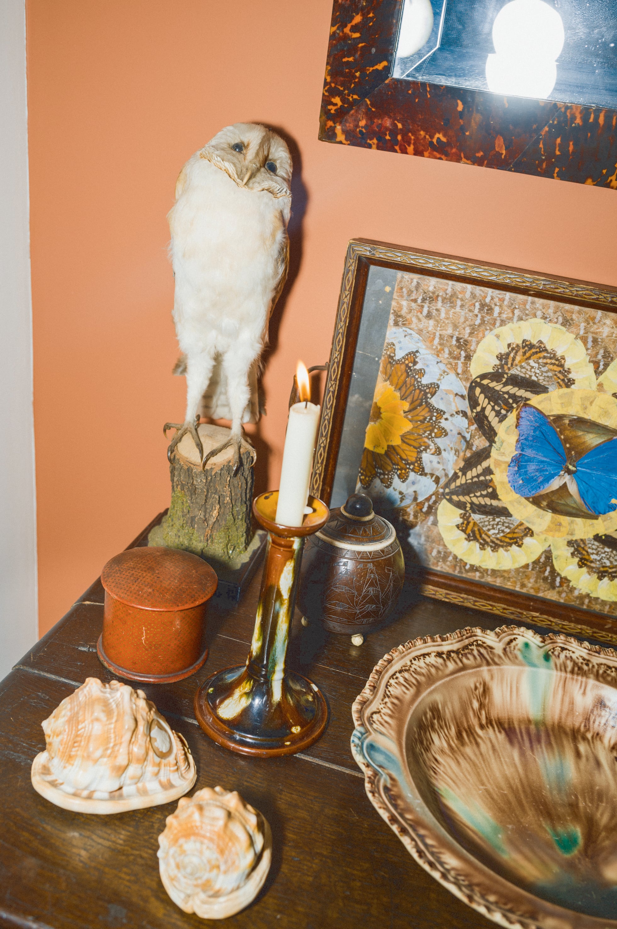 Remy Renzullo, el niño prodigio de la decoración: “No hay nada más ...