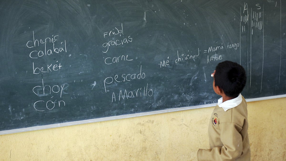 ¿Por qué la 4T quiere desaparecer el Instituto Nacional de Lenguas ...