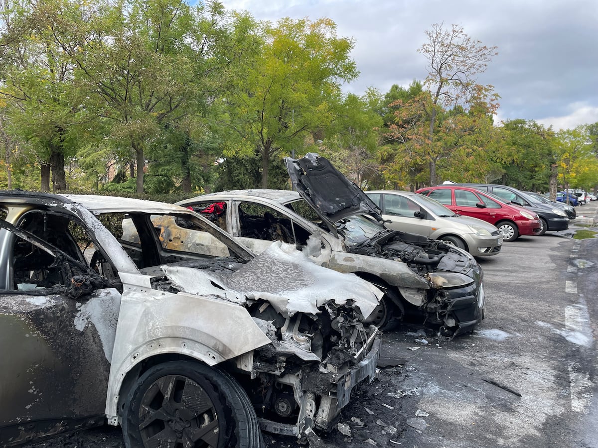 La Policía detiene al presunto culpable de vandalizar 26 coches en ...