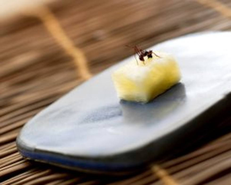 Alex Atala, premiado por sua contribuição à gastronomia mundial ...