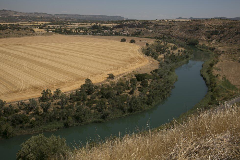 Recópolis, el sueño de Leovigildo | Fotos | Cultura | EL PAÍS