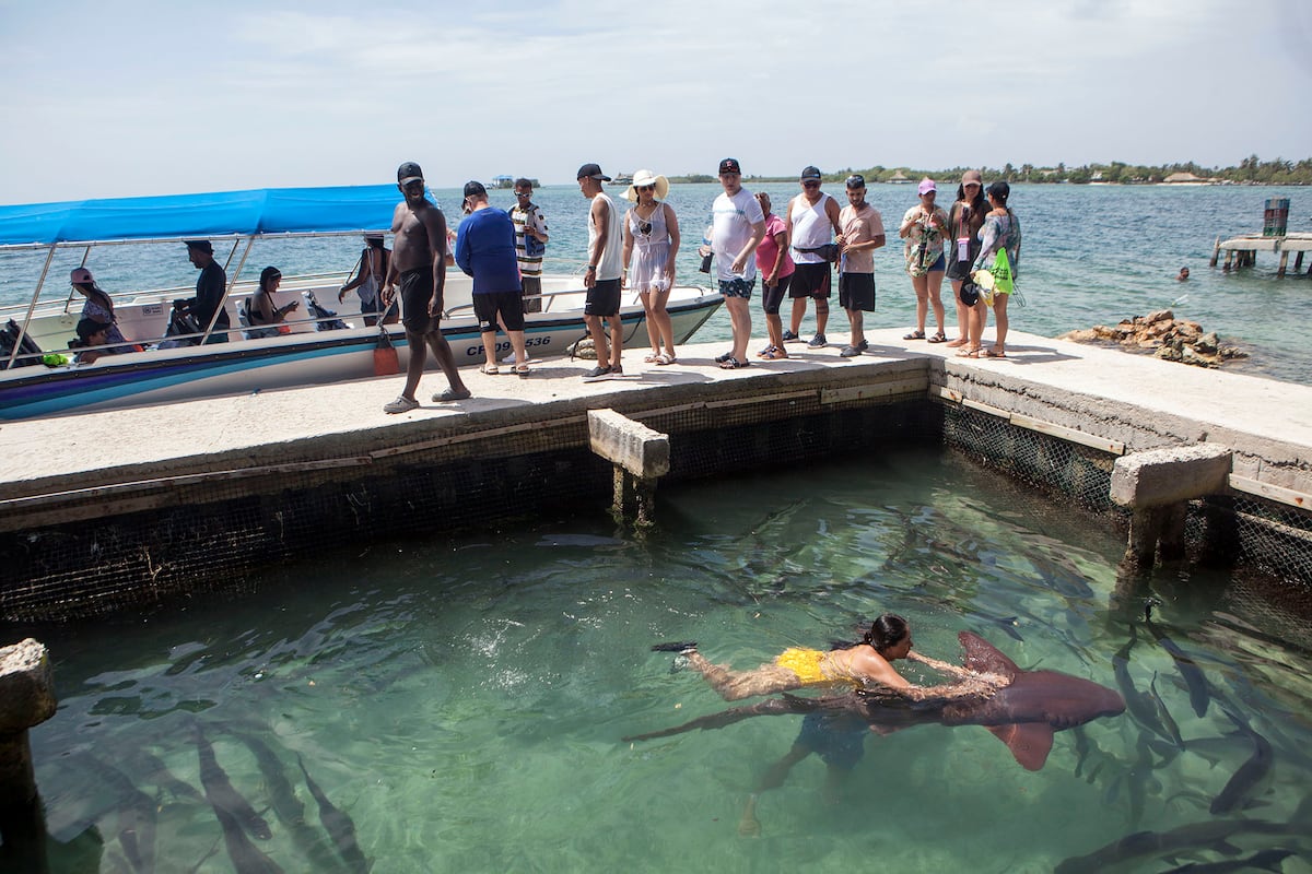 Santa Cruz del Islote: La isla más densamente poblada del mundo busca ...