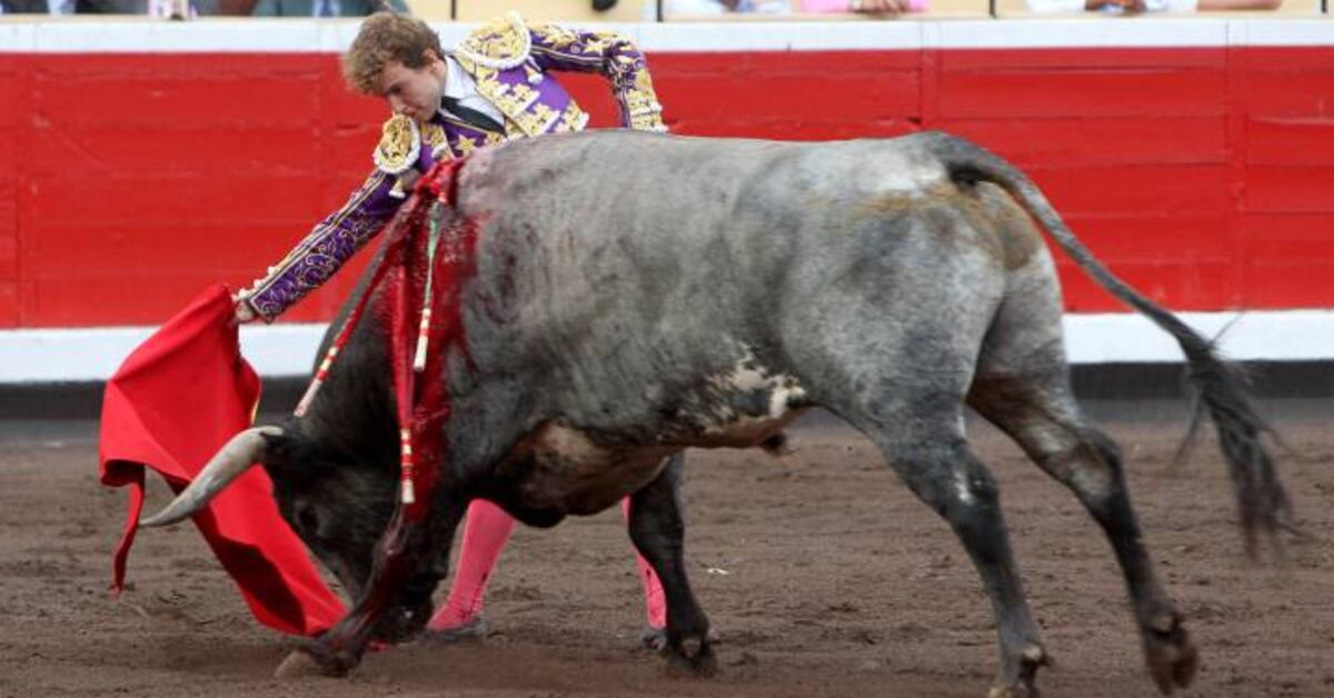 Triunfo incontestable de Román | Cultura | EL PAÍS