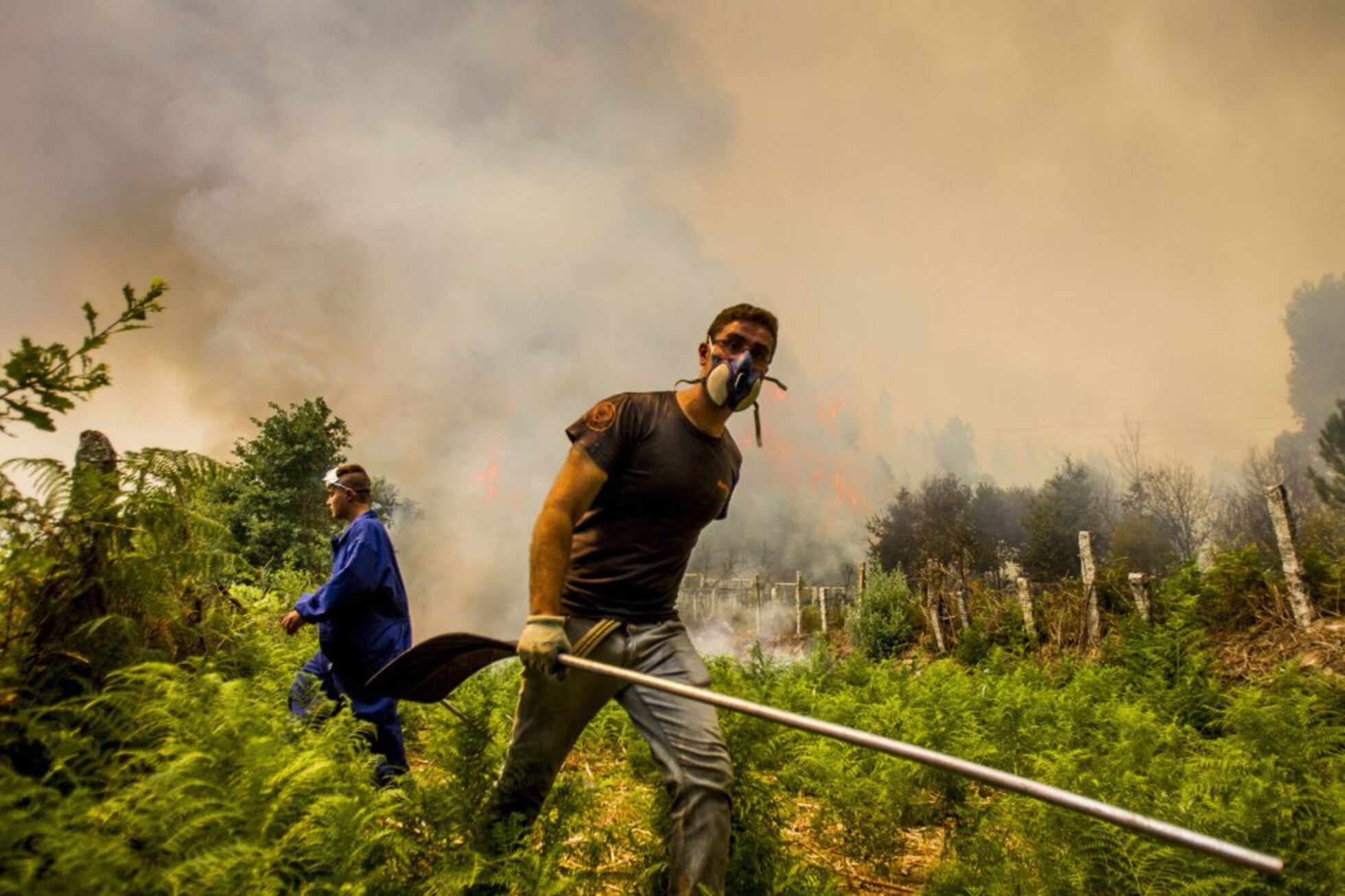 Incendios en Galicia, en imágenes | Fotos | Política | EL PAÍS