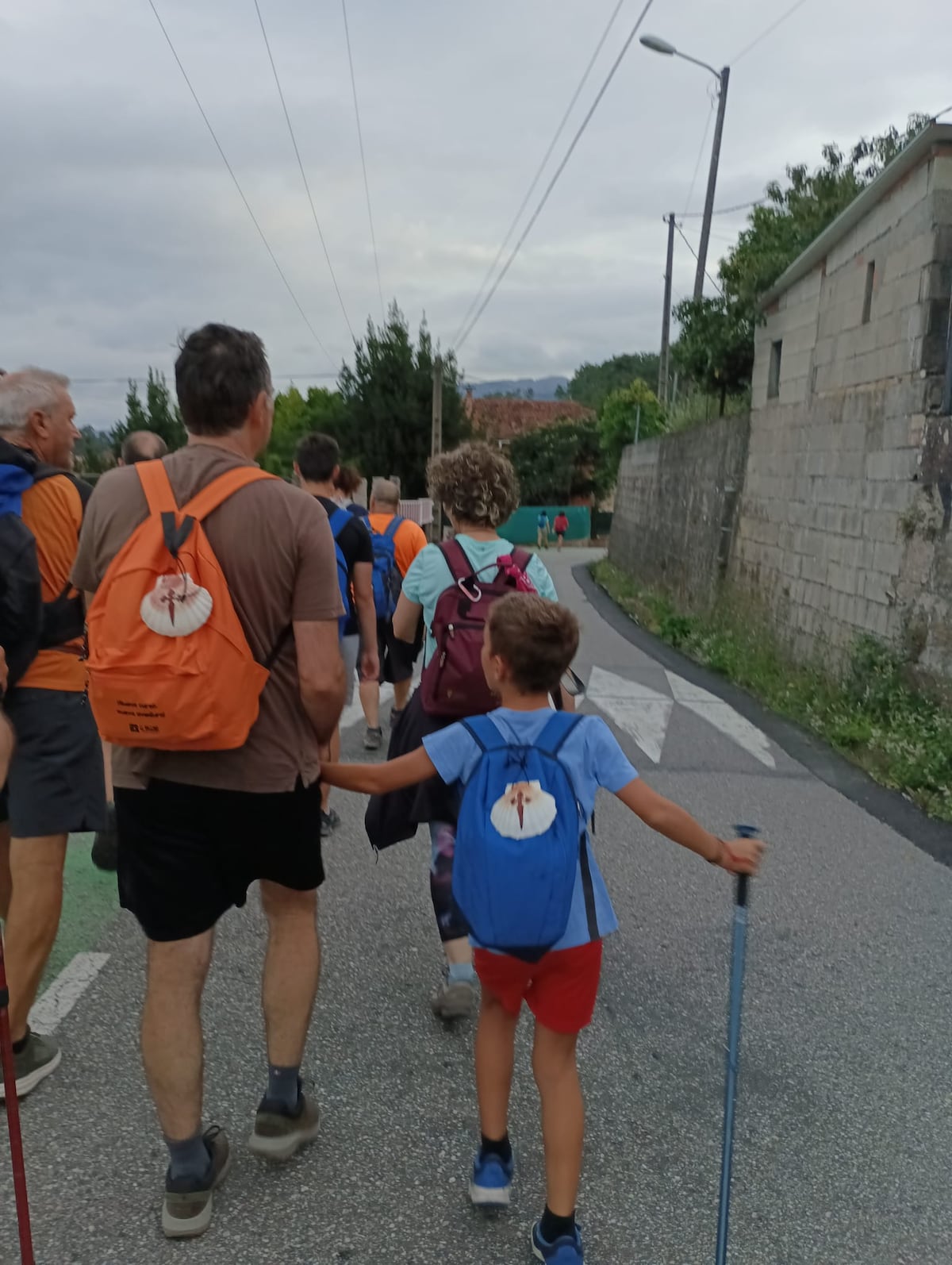 Proyecto Ulises | Agencia experta en la organización del Camino de Santiago | Guía de empresas ...