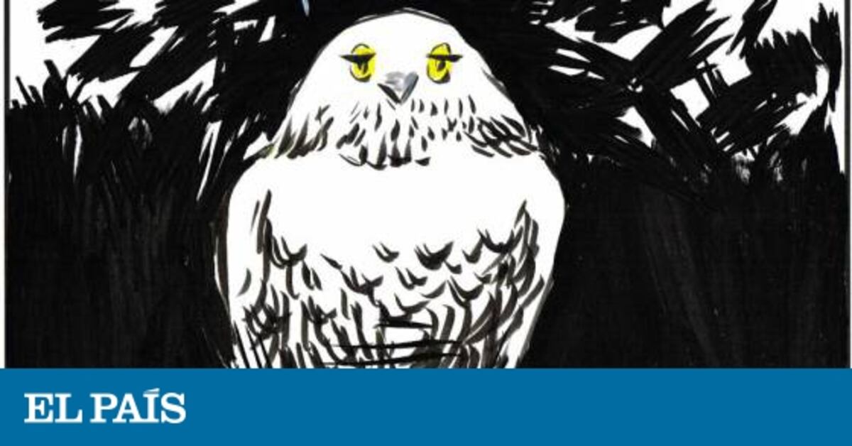 Spanish cartoonist El Roto: El Roto | Spain | EL PAÍS English