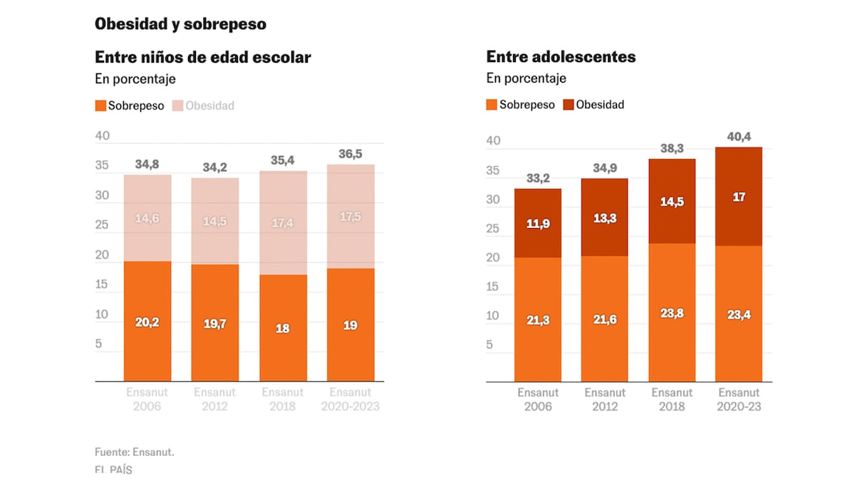 Gráficos | Cuatro de cada 10 niños y adolescentes viven con sobrepeso y ...