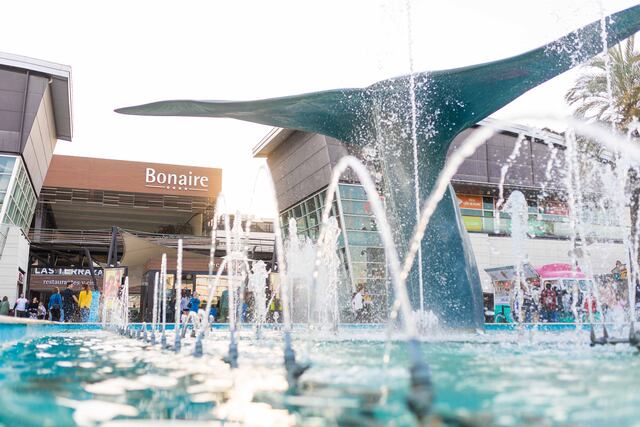 El nuevo dueño de Bonaire enfila el salto al mercado continuo tras ...