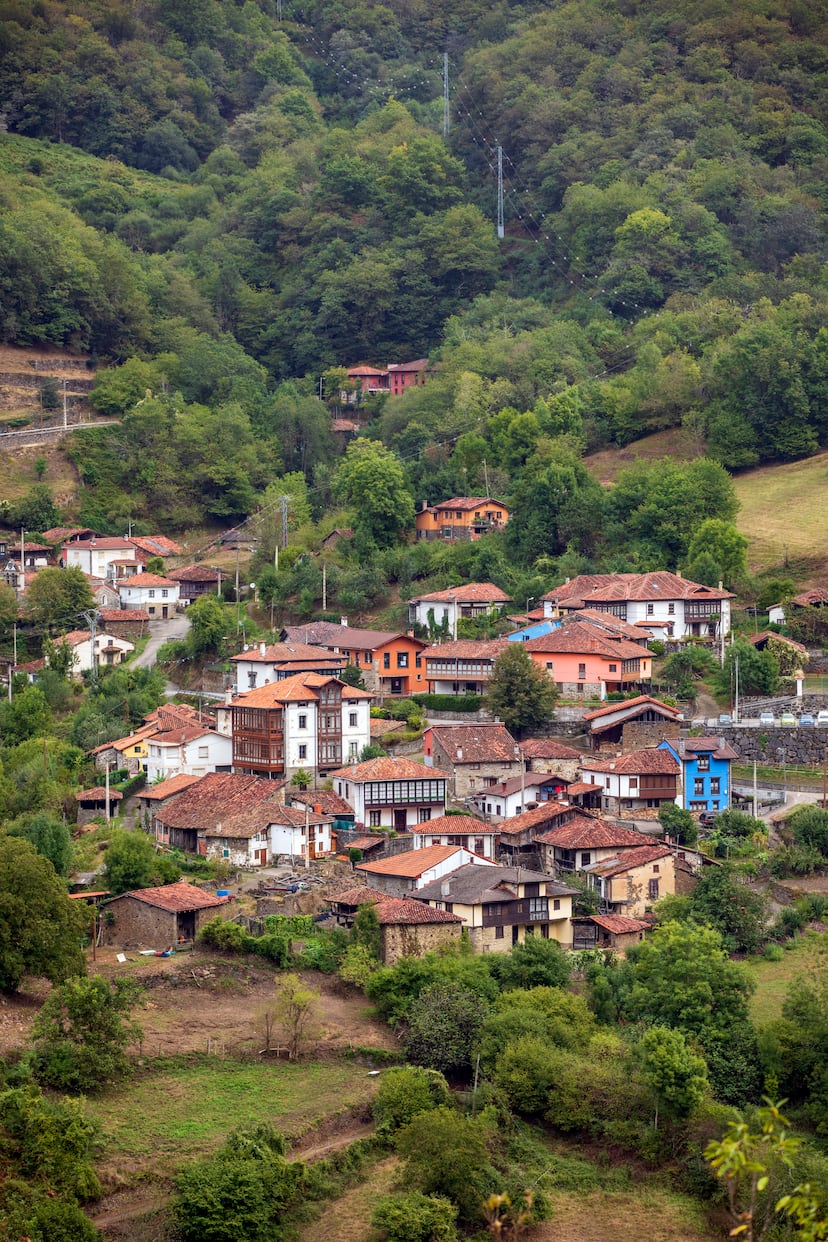 Ponga, el último tesoro natural de Asturias | El Viajero | EL PAÍS