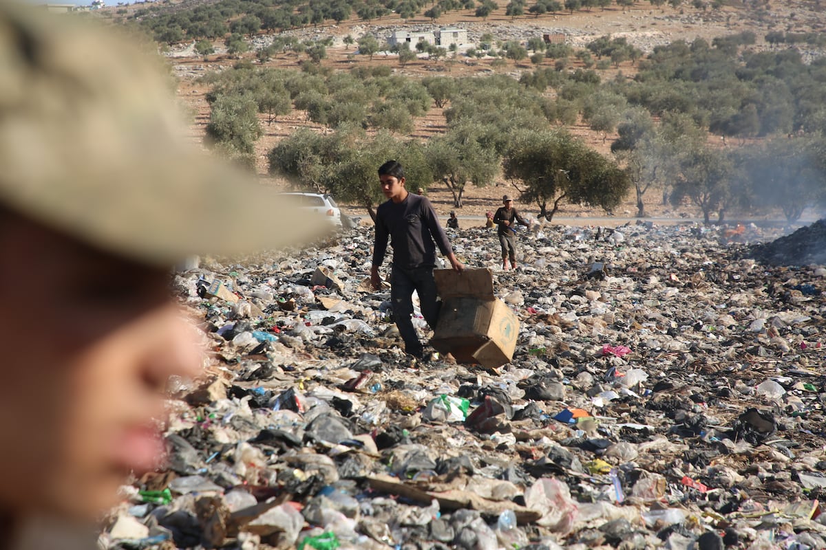 How does war affect nature? Syria has lost 20% of its forests in 10 ...