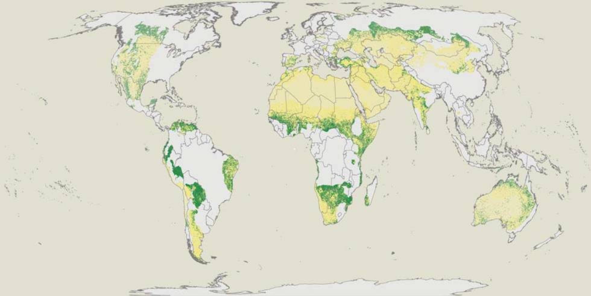 Las tierras secas ocultan un bosque tan grande como la selva amazónica ...