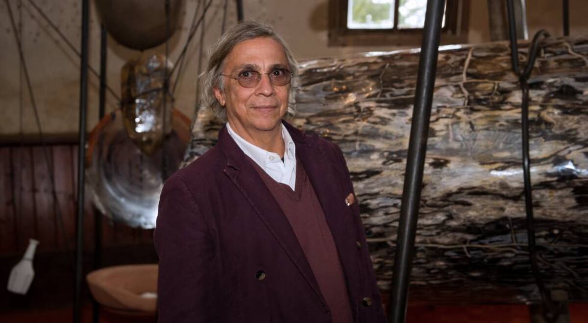 Muere Tunga, uno de los mayores exponentes del arte brasileño | Cultura ...