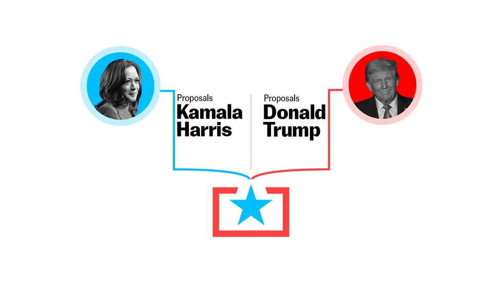 Compare the presidential candidates’ policy platforms | Elections 2024 ...