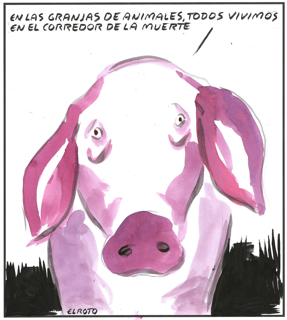 El Roto | Opinión | EL PAÍS