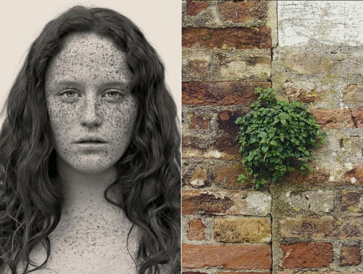 ¿Tienes ‘Wabi-Sabi’, el arte de ver la belleza de lo imperfecto ...