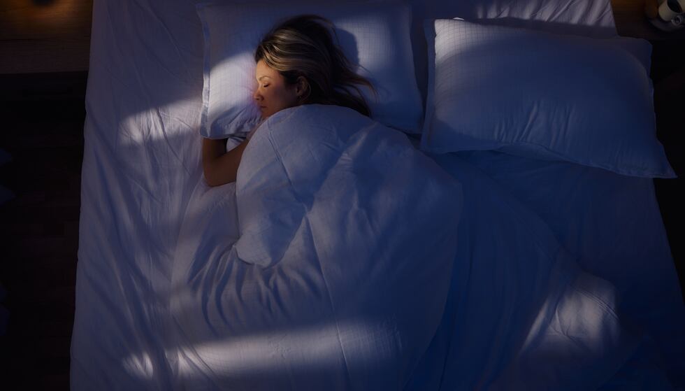 The brain self-cleanses during sleep | Science | EL PAÍS English