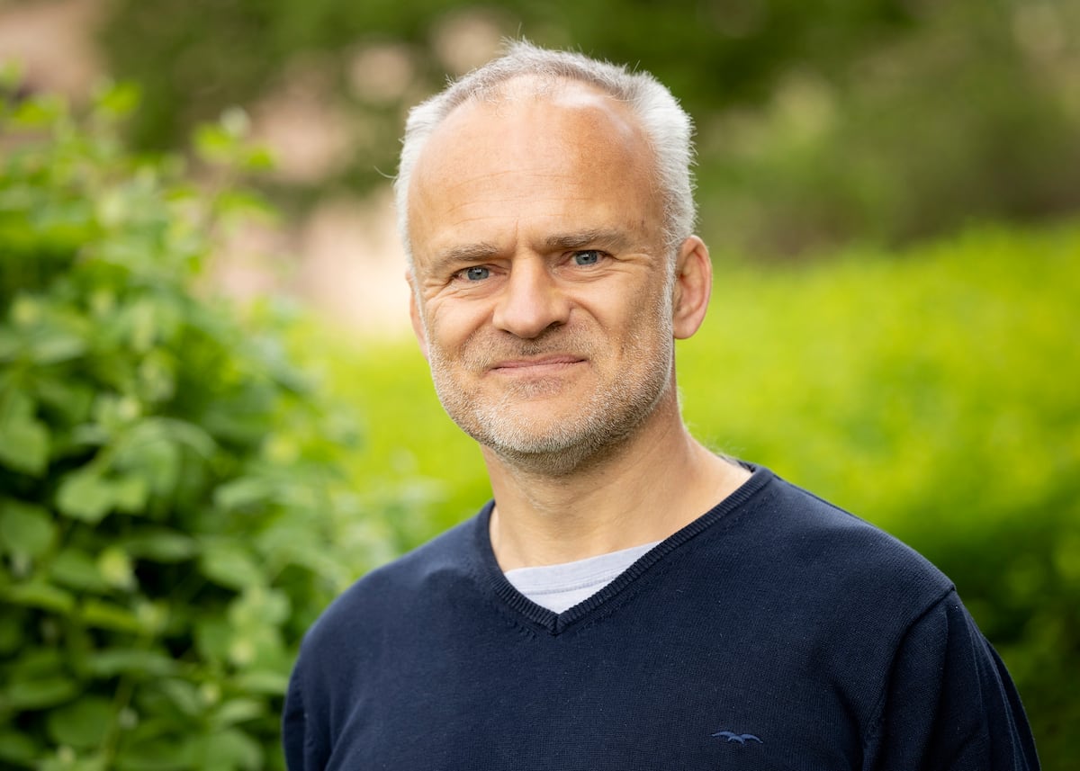 Brett Christophers: “La inversión en renovables es insuficiente para ...