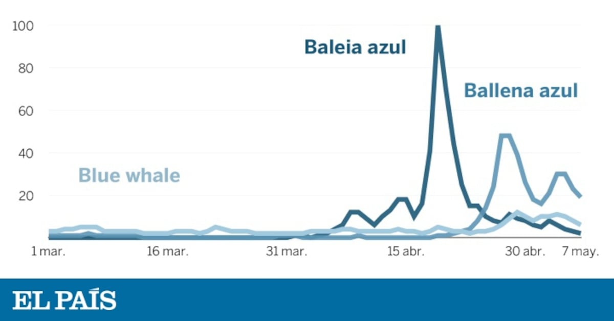 La peligrosa viralidad del juego ‘Ballena azul’ | Política | EL PAÍS