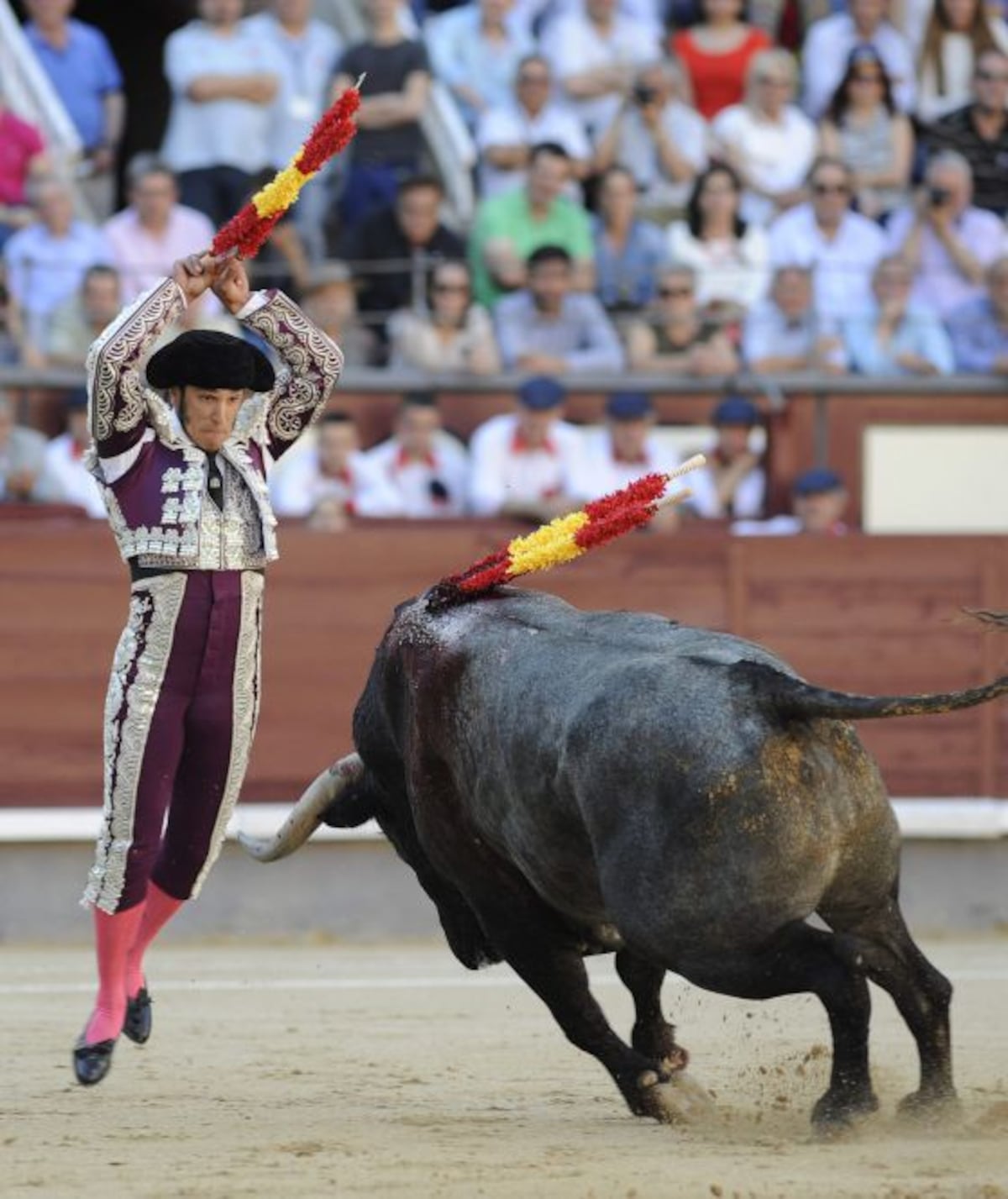 ‘Zahonero’, el toro de una vida | Cultura | EL PAÍS