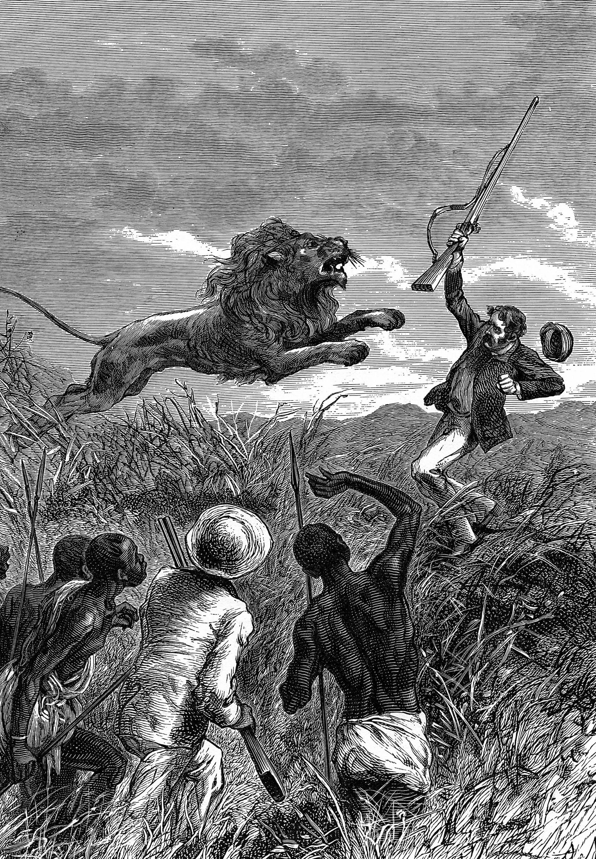 Tras los pasos del explorador David Livingstone por África: una ...