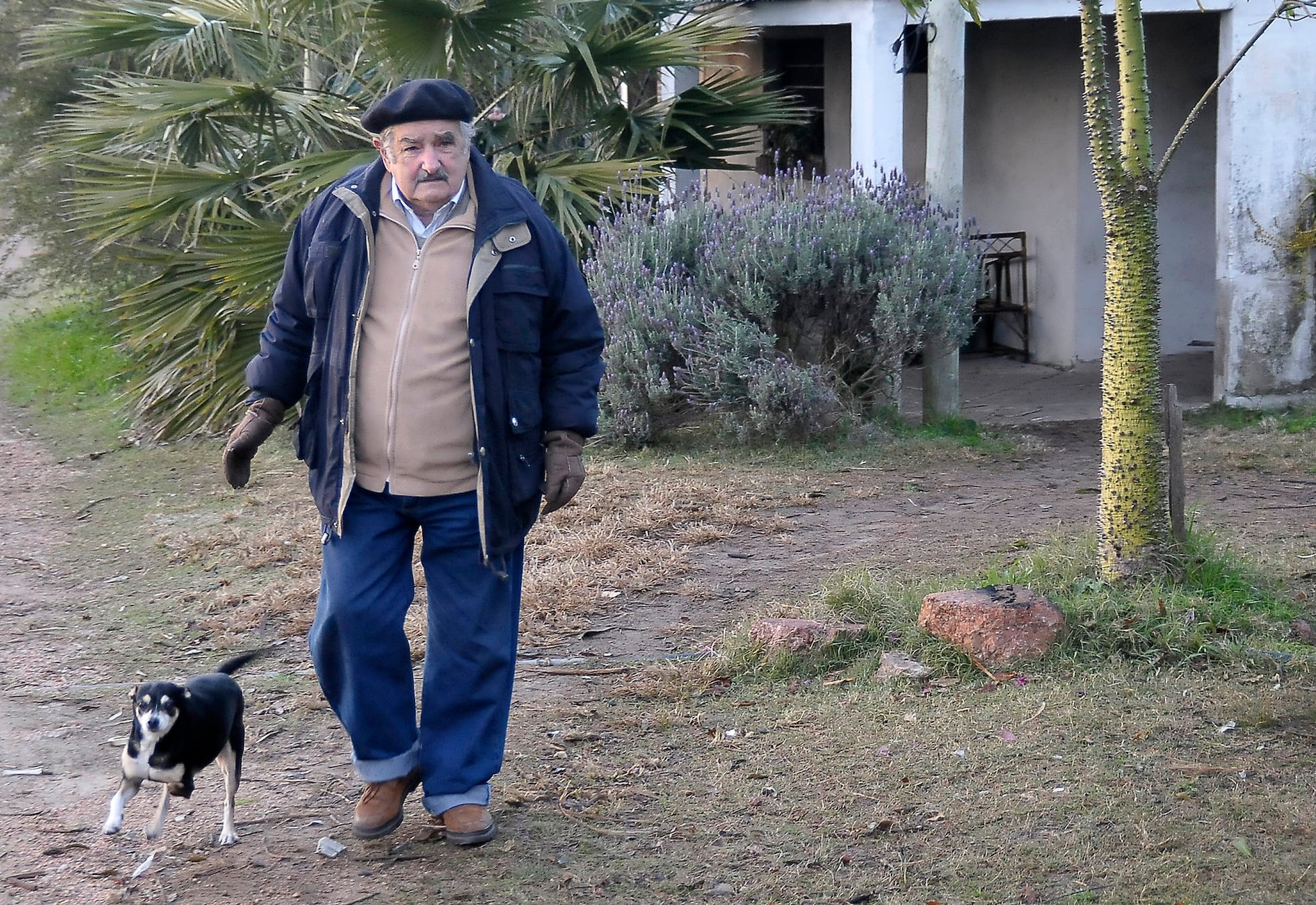 Former Uruguayan president José ‘Pepe’ Mujica, the quiet revolutionary ...