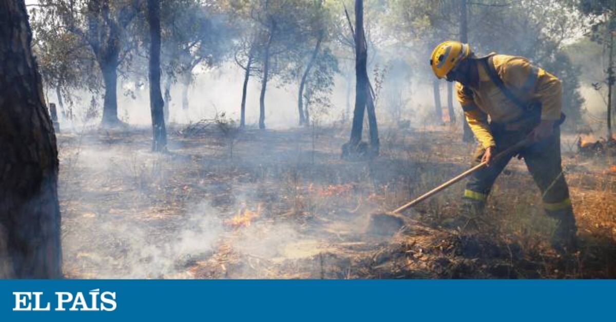Incendi Moguer: L’incendi de Doñana deixa atrapades 50.000 persones pel ...